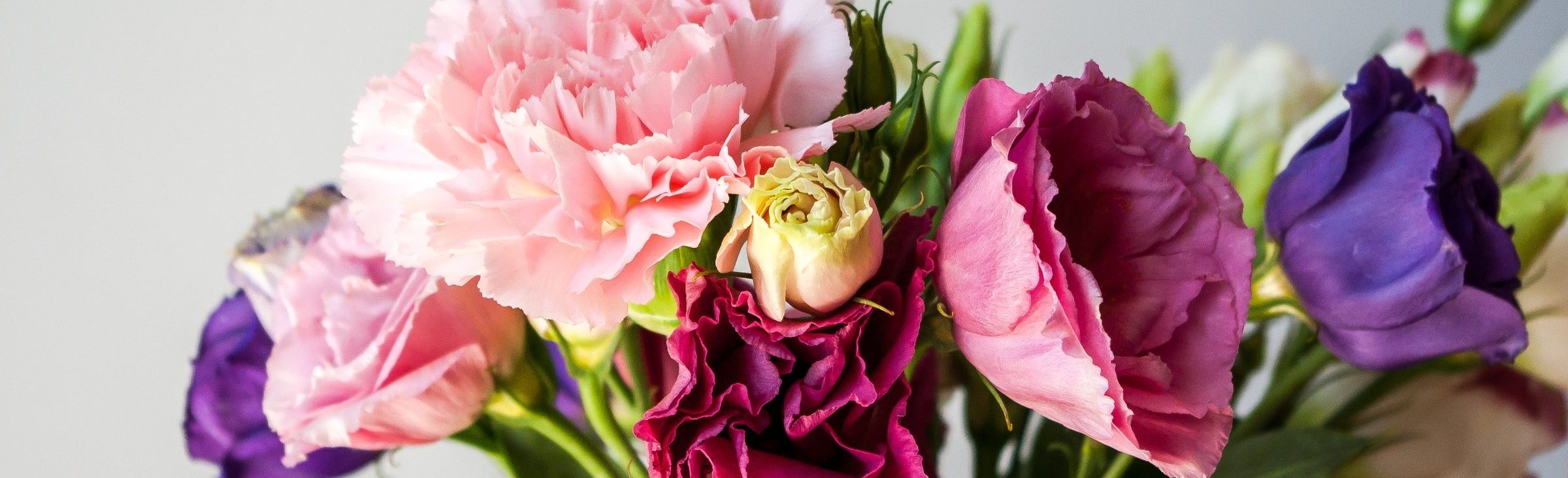 Your Retailpartner – Summaflor