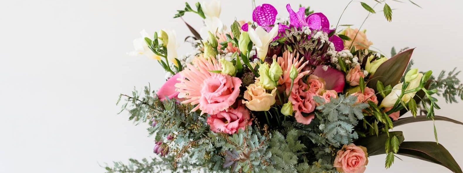 About Summaflor – Summaflor